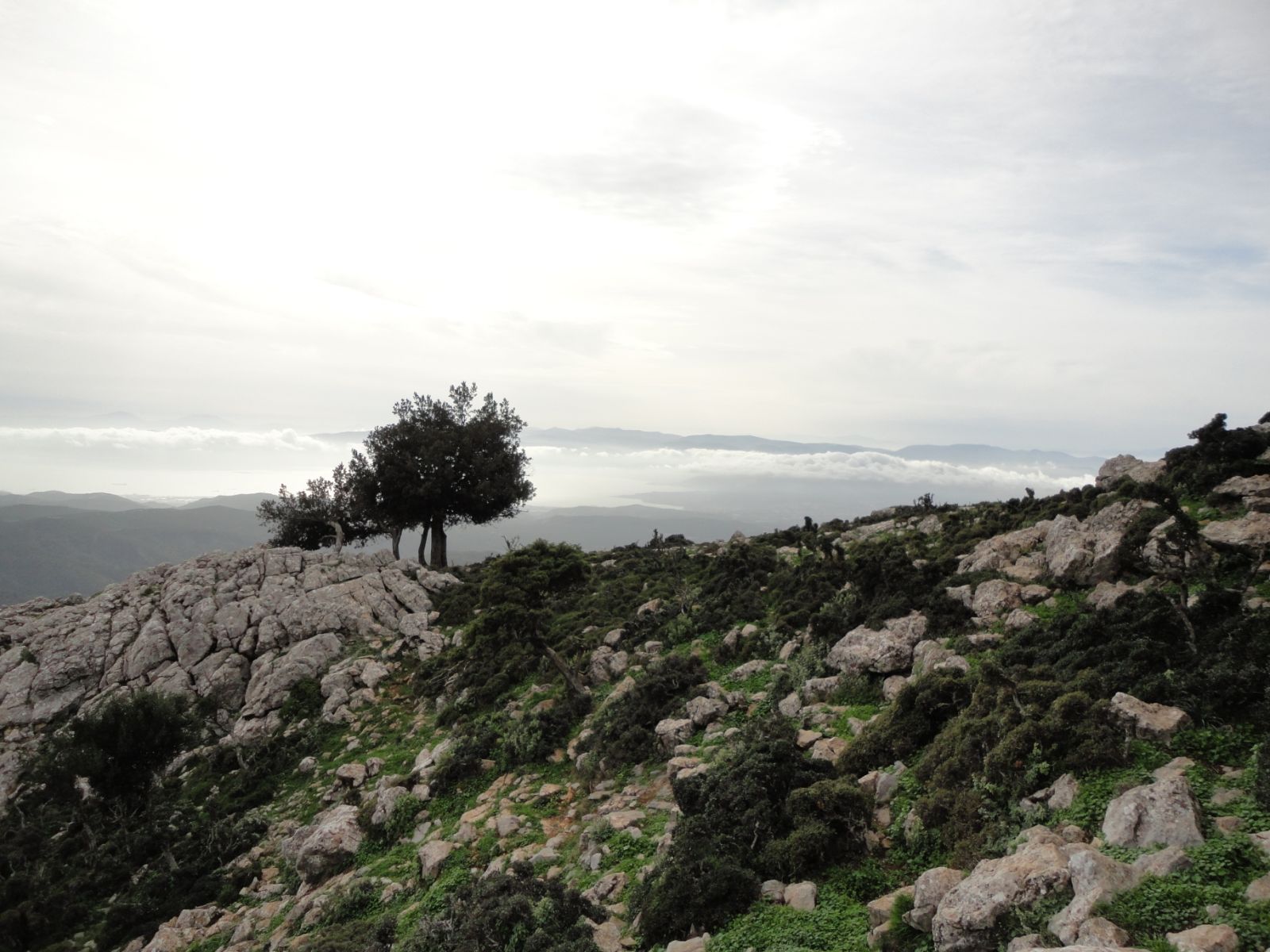 ΠΟΛΙΤΙΣΤΙΚΟ ΚΕΝΤΡΟ ΕΡΓΑΖΟΜΕΝΩΝ Ο.Τ.Ε. Ν. ΑΤΤΙΚΗΣ